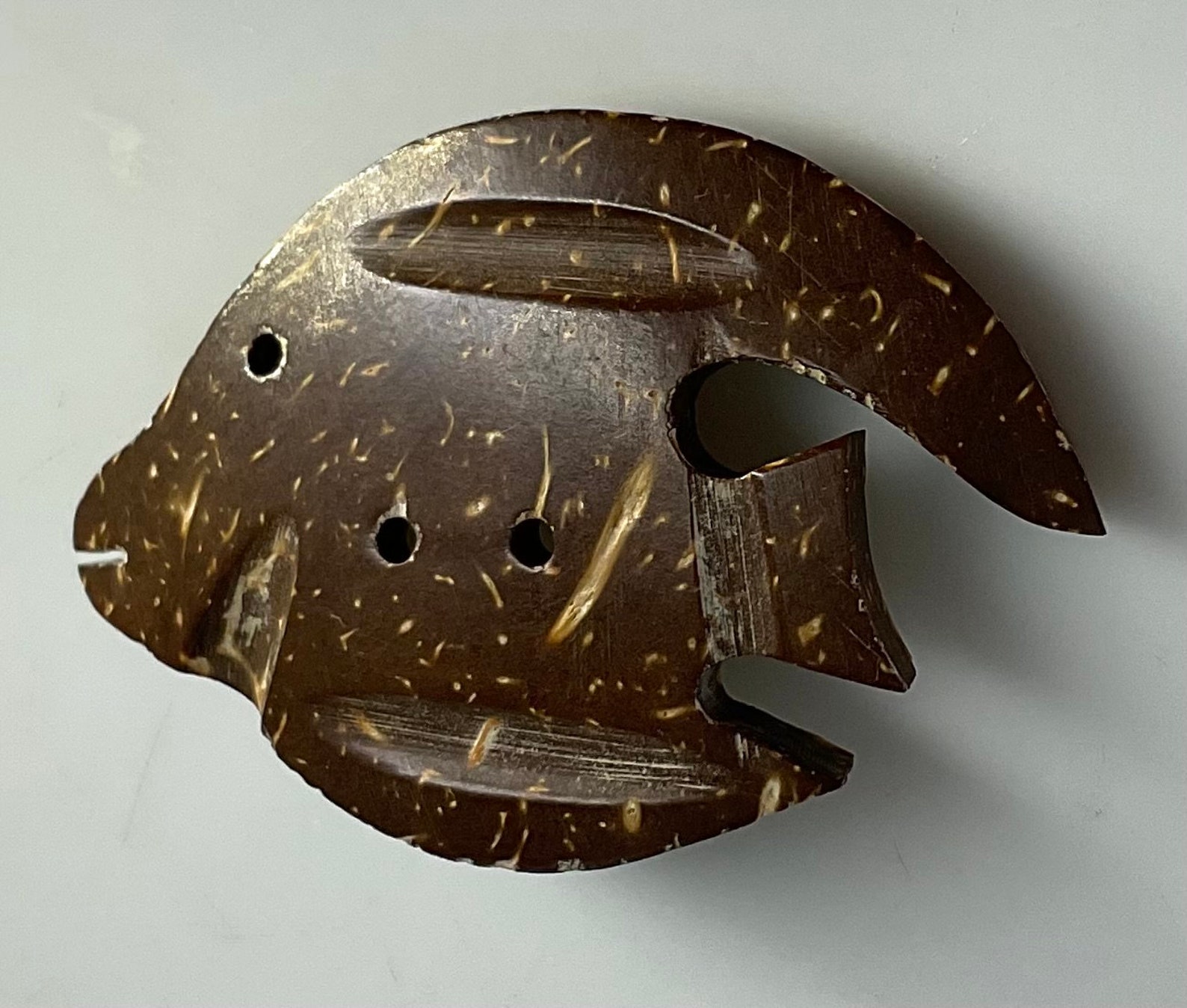 Large Realistic Shape Carved Coconut Shell Fish Button Vintage - Etsy