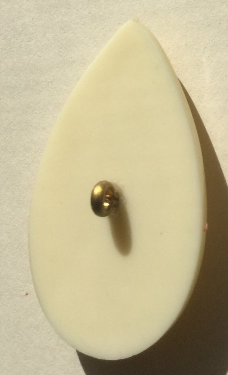 Colorful Peacock Bird teardrop shape vintage plastic button | Etsy