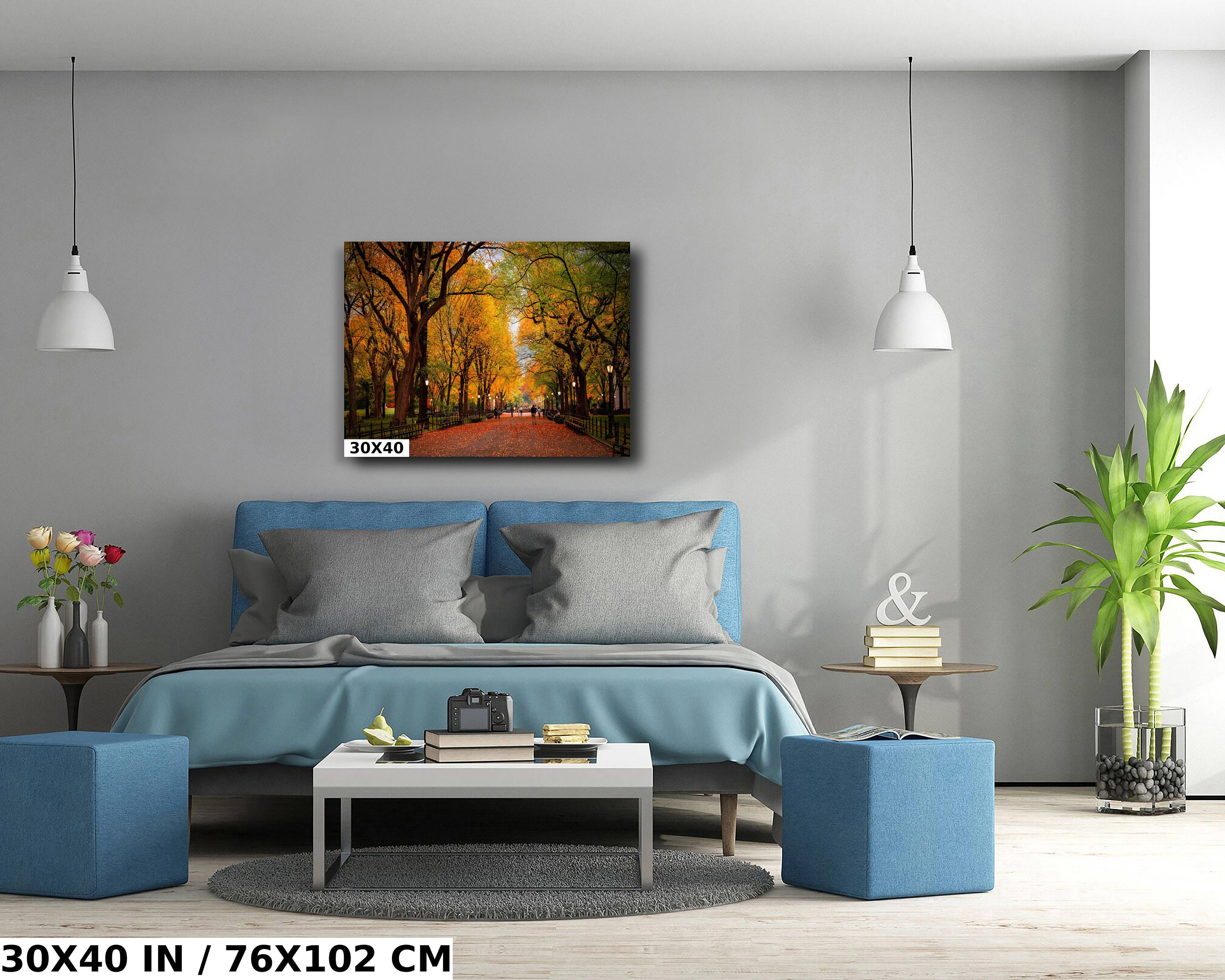 New York City Central Park the Mall Fall Colors Award Winner - Etsy