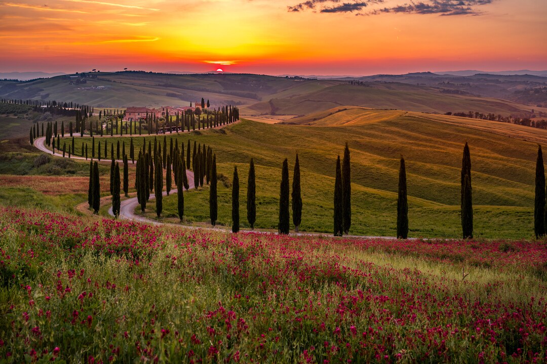 Tuscany, Val D'orcia, Baccoleno Farmhouse, Cypress Trees, Italy ...