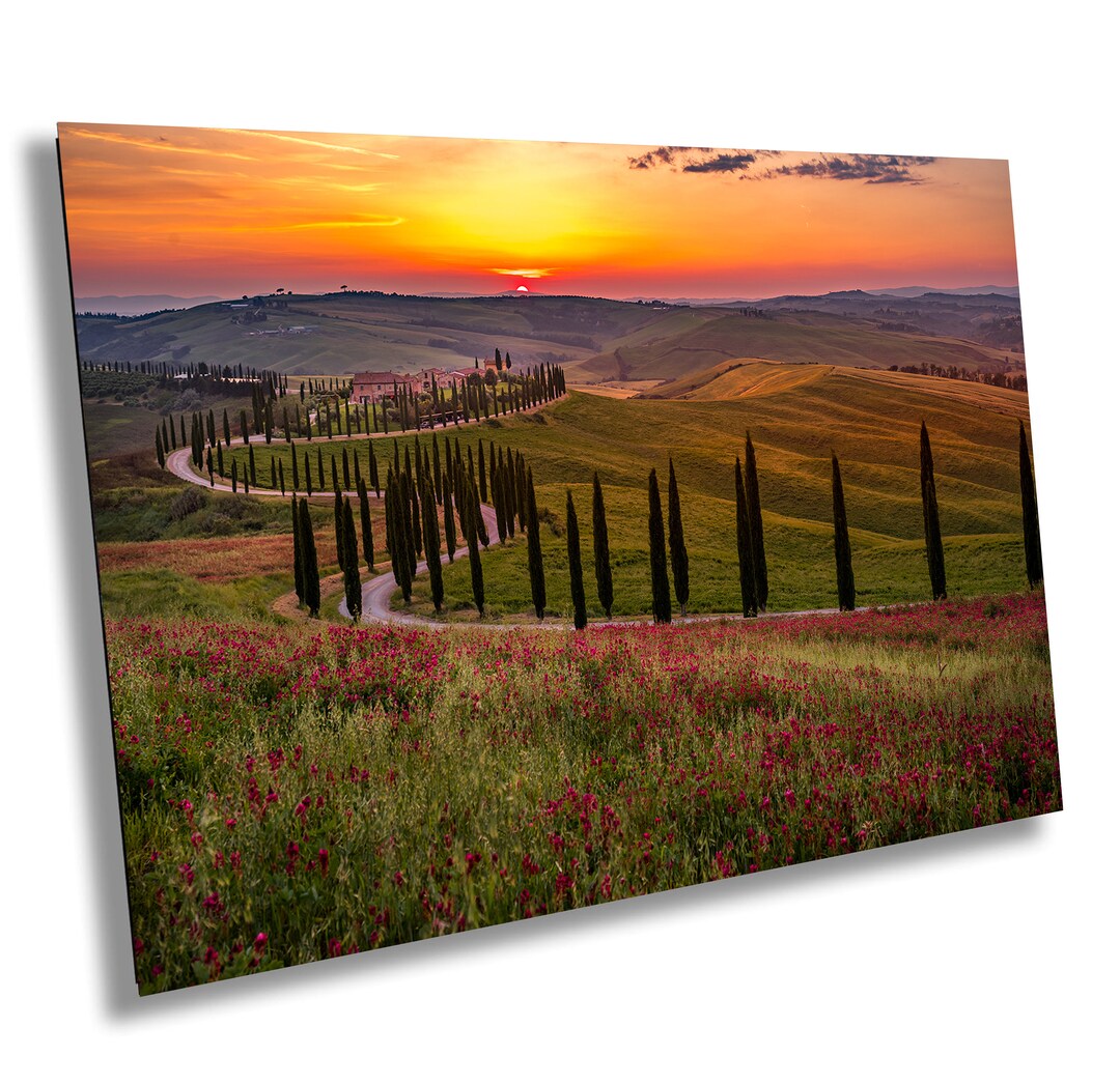Tuscany, Val D'orcia, Baccoleno Farmhouse, Cypress Trees, Italy ...