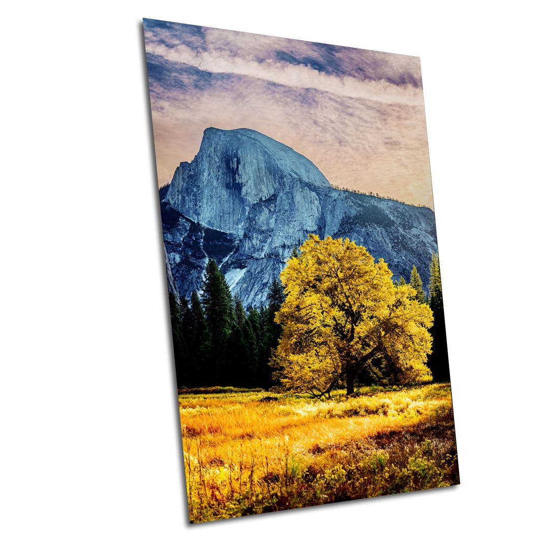 CA Yosemite National Park Half Dome Cook's Meadow Golden Black Oaks 3 ...