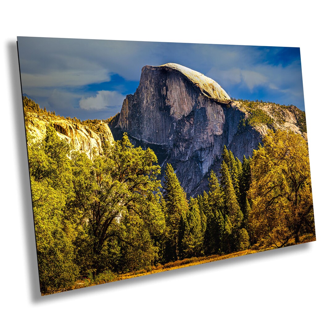 CA Yosemite National Park Half Dome Cook's Meadow Golden Black Oaks 1 ...