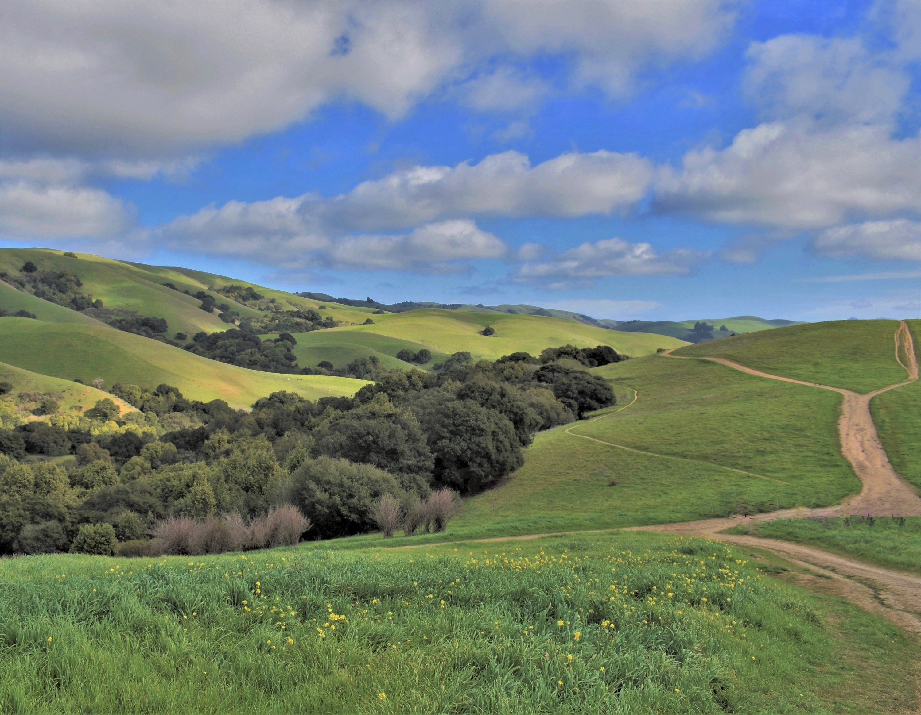 Garin Park,hayward Hills,california Parks,california Photography ...