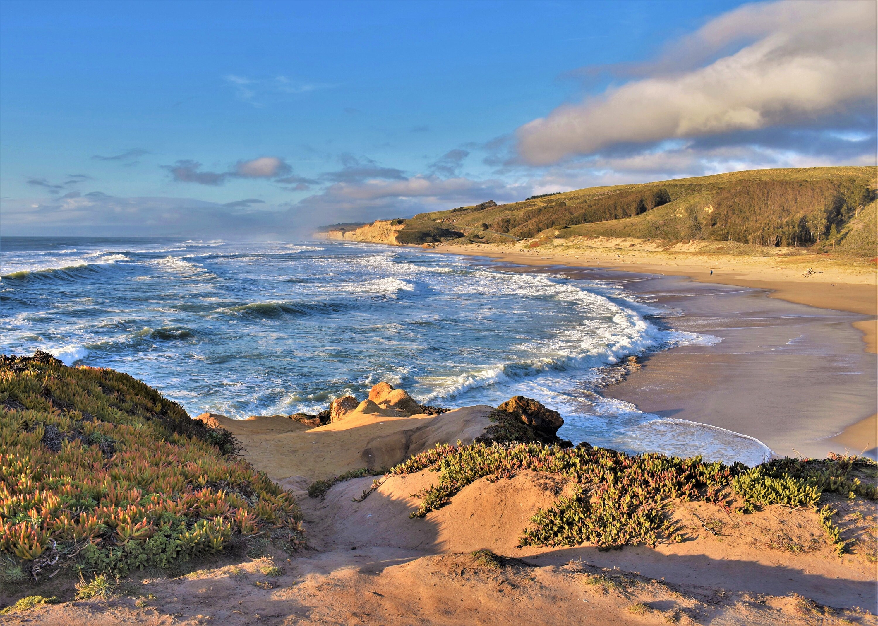 Martin's beach,Digital Download,Instant Print,Waves,Half Moon Bay ...