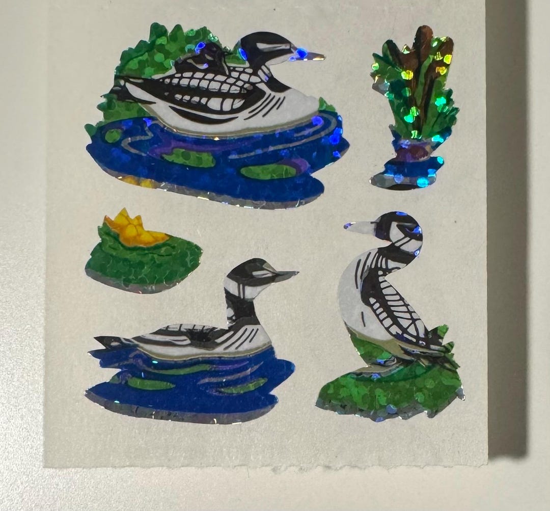 Vintage Rare Sandylion Loon Duck Bird Stickers - Etsy