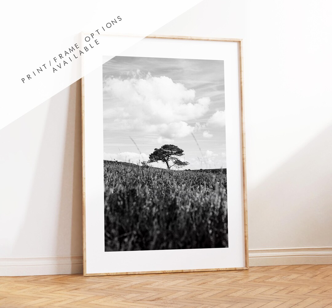 Black and White Tree Photography Print - New Forest - Hampshire ...