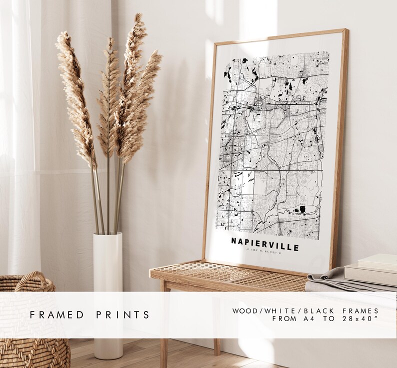 Napierville Map Print - City Map Poster - Map Art - USA City Maps ...