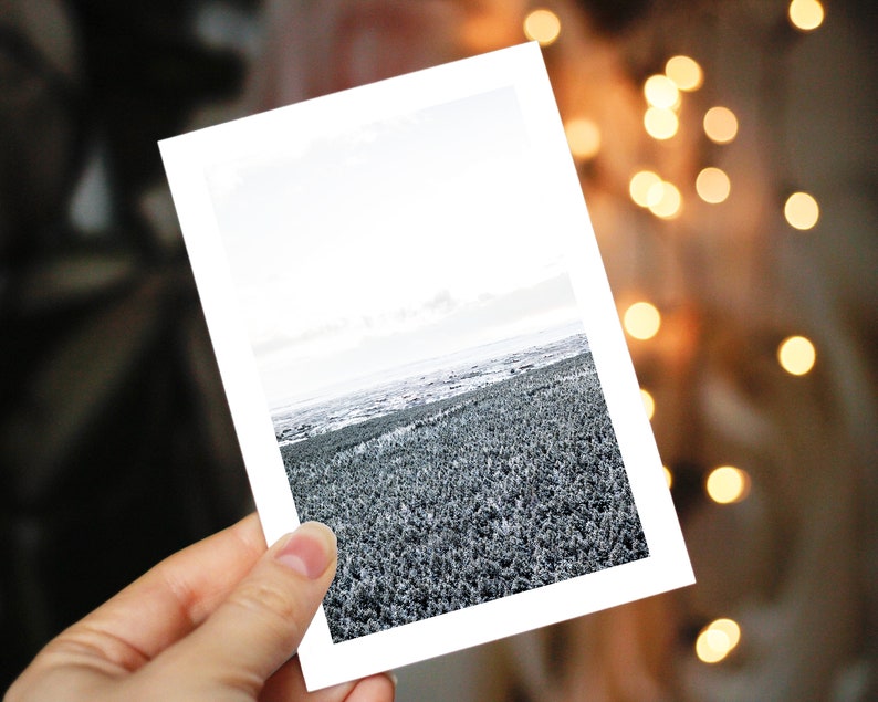 Winter Forest Greeting Card - Greeting Card - Blank Inside - Holidays ...