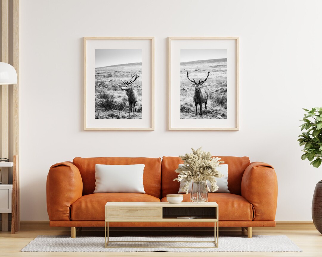 Stags Black and White Print Set - Black and White Photography - Stag ...