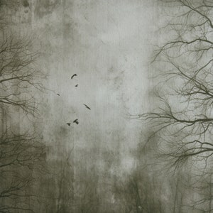 Grey Woods Printed Aida Cloth, Gothic Cross Stitch Fabric, 14 / 16 / 18 ...