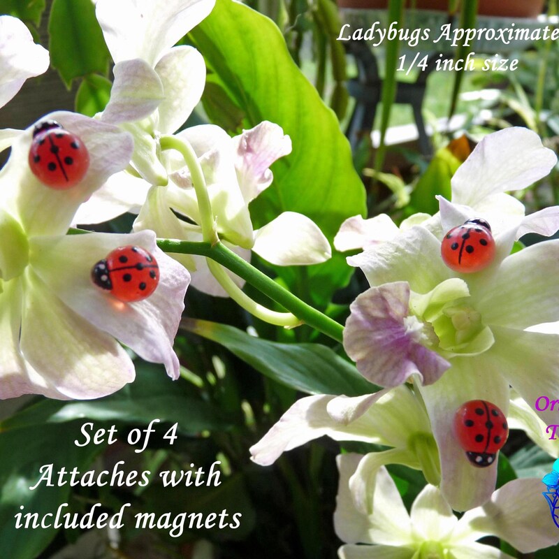 Ladybug Planters - Etsy