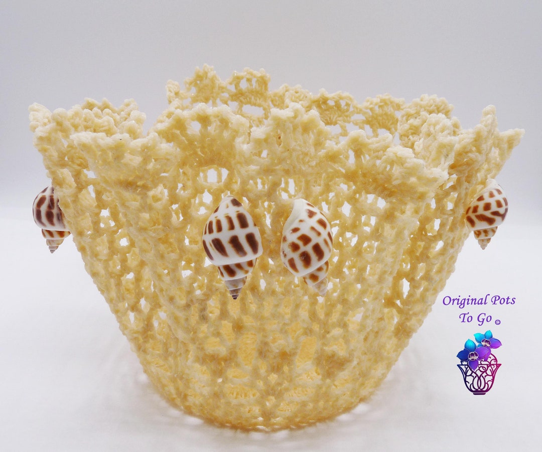 Large Orchid Pot Beach Pot Fan Coral Pot Flower Pot - Etsy