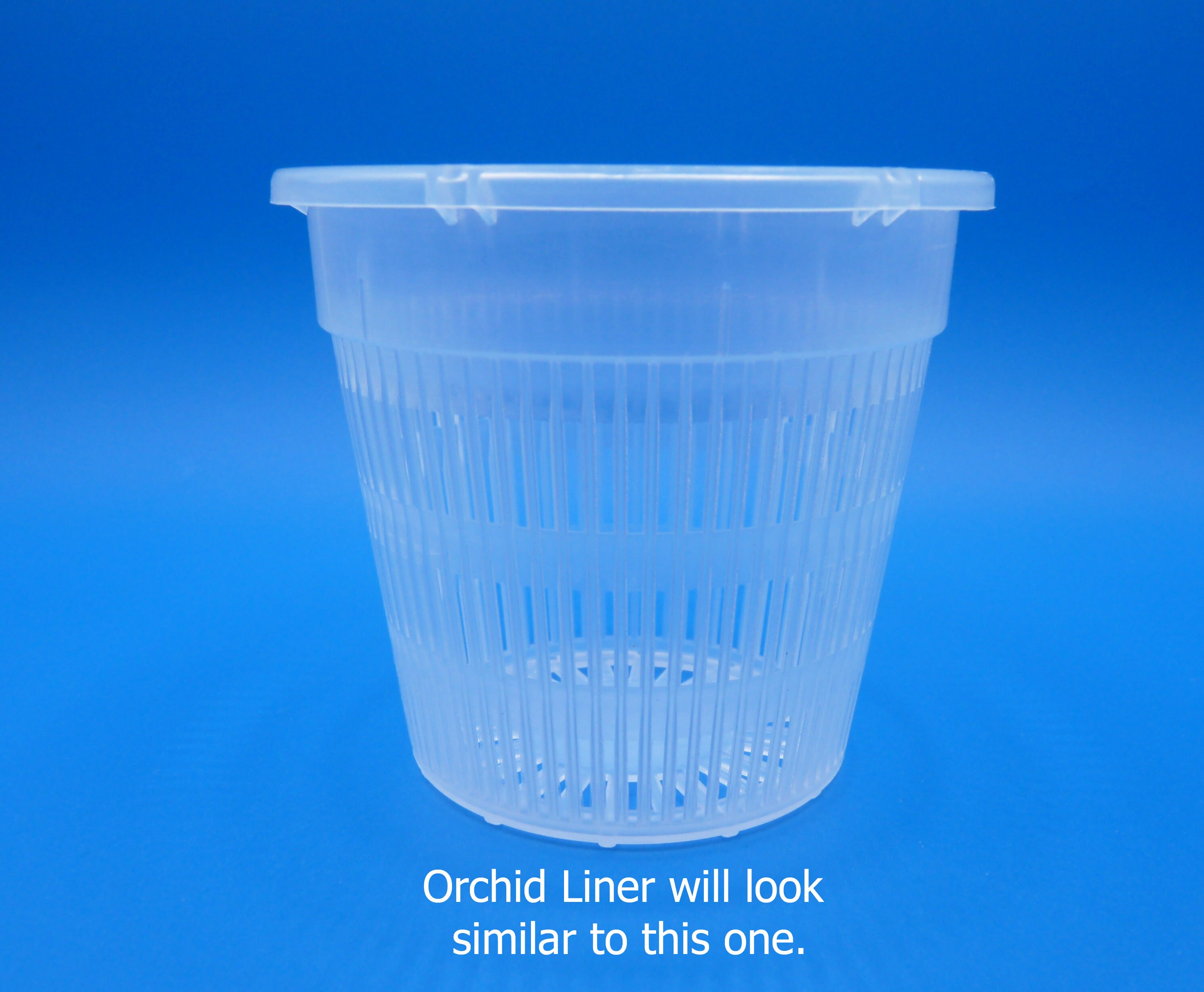 Seahorse Pot, Orchid Pot, Fan Coral Pot, Housewarming, Ocean Theme Pot ...