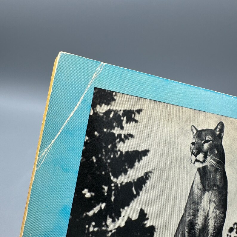 Charlie, el puma solitario, libro de bolsillo de 1971, relacionado con ...