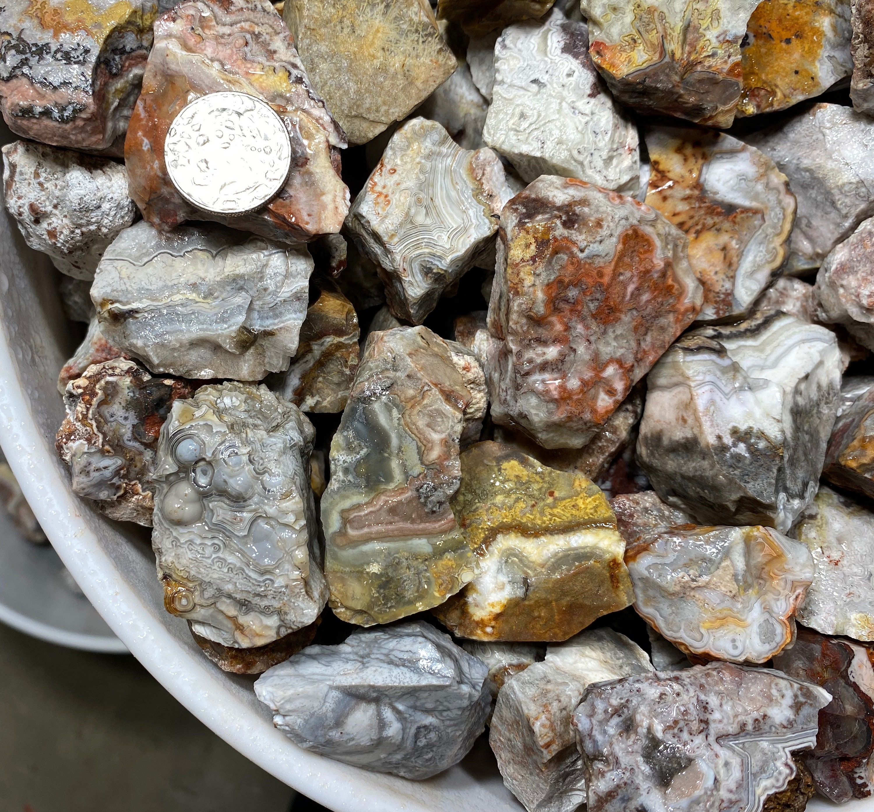 10lb Mexican Crazy Lace Agate Rough, Lapidary Cabbing Tumbling Stock - Etsy