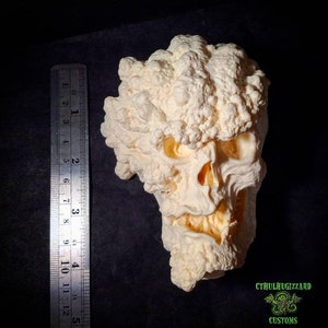 Joseph Merrick the Elephant Man Skull Skull Unpainted Resin Relief 1 ...