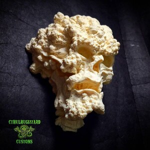 Joseph Merrick the Elephant Man Skull Skull Unpainted Resin Relief 1 ...