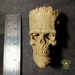 Frankenstein Skull 1/4 Scale Relief Unpainted Resin Casting ...