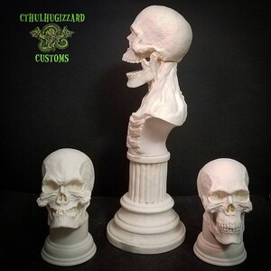 Deluxe Anatomical Skeletal Sculpting Bust 1/3rd Scale Unpainted Resin ...