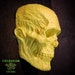 Shrivel Unpainted 1/3rd Scale Resin Relief - Etsy