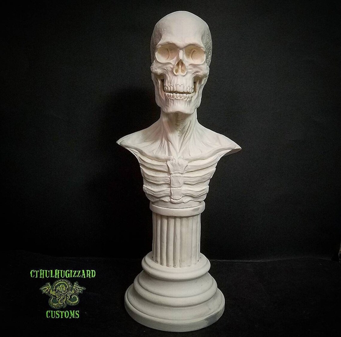 Anatomical Skeletal Sculpting Bust 1/3rd Scale Unpainted Resin - Etsy