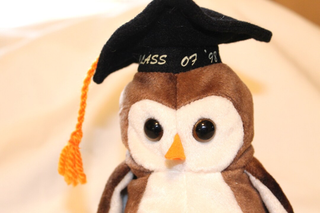 Vintage Ty Wise Graduation Owl Beanie Baby - Class of '98 - Etsy