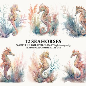 Watercolor Seahorse Clipart Bundle, Ocean Watercolor, Seahorses Png ...