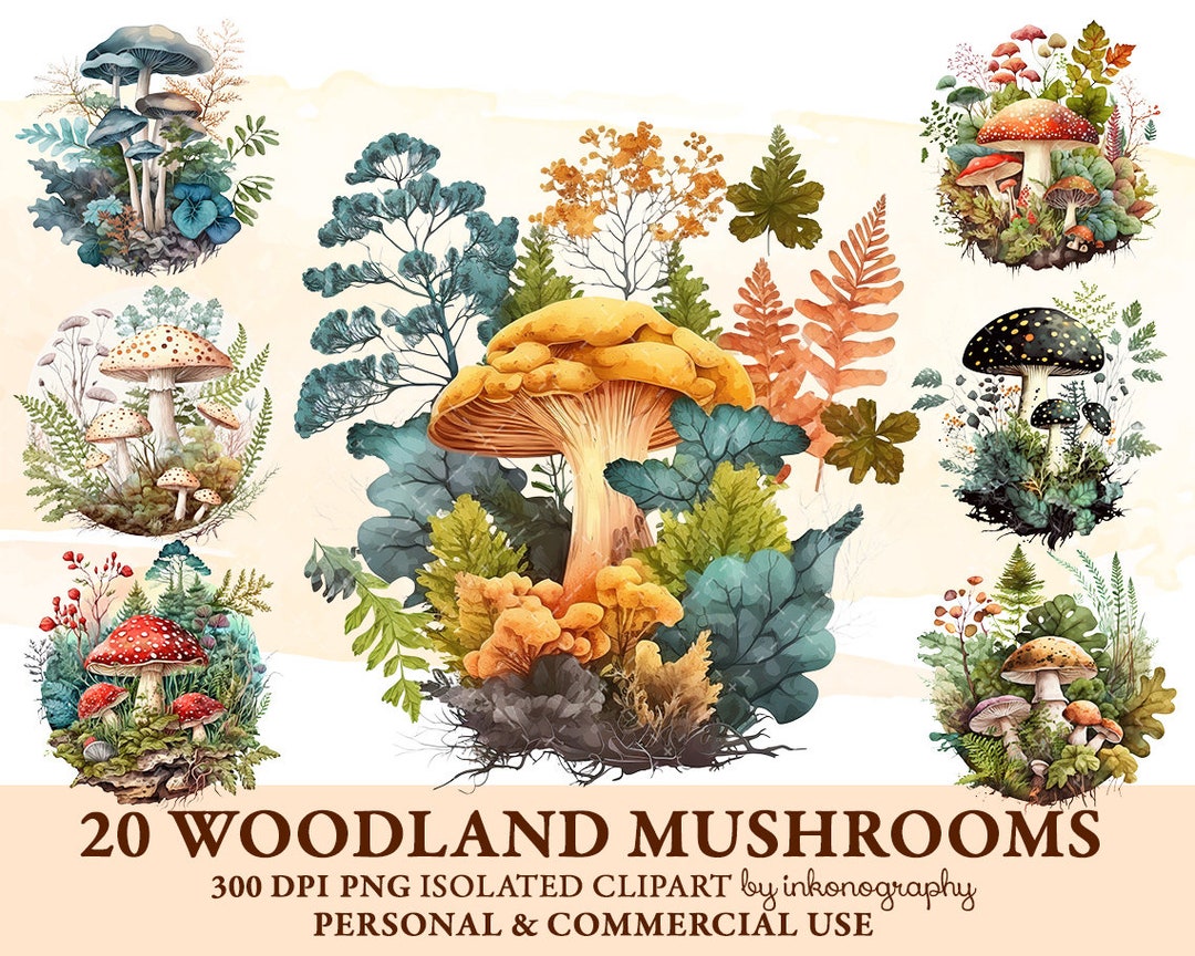 Watercolor Mushroom Clipart Bundle, Png, Forest Mushrooms Clipart ...