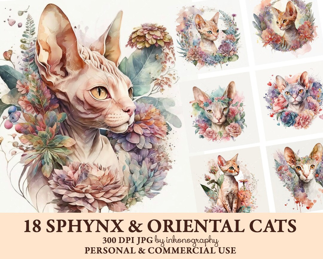 Watercolor Sphynx Cat Clipart Bundle, Floral Cat Jpg, Sphynx ...