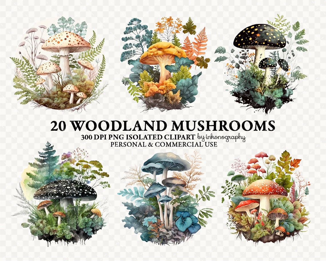 Watercolor Mushroom Clipart Bundle Png Forest Mushrooms - Etsy
