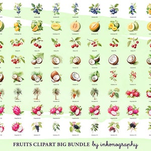 Fruits Clipart Fruits Bundle Commercial Use High Quality Transparent ...