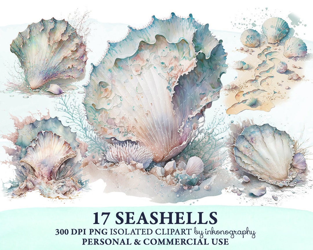 Watercolor Seashell Clipart Bundle, Seashell Png, Sealife Digital ...