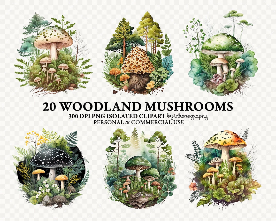 Watercolor Mushroom Clipart Bundle, Png, Forest Mushrooms Clipart ...