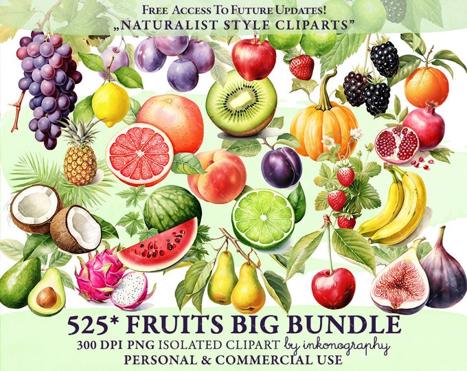 Fruits Clipart | Fruits Bundle | Commercial Use | High Quality ...