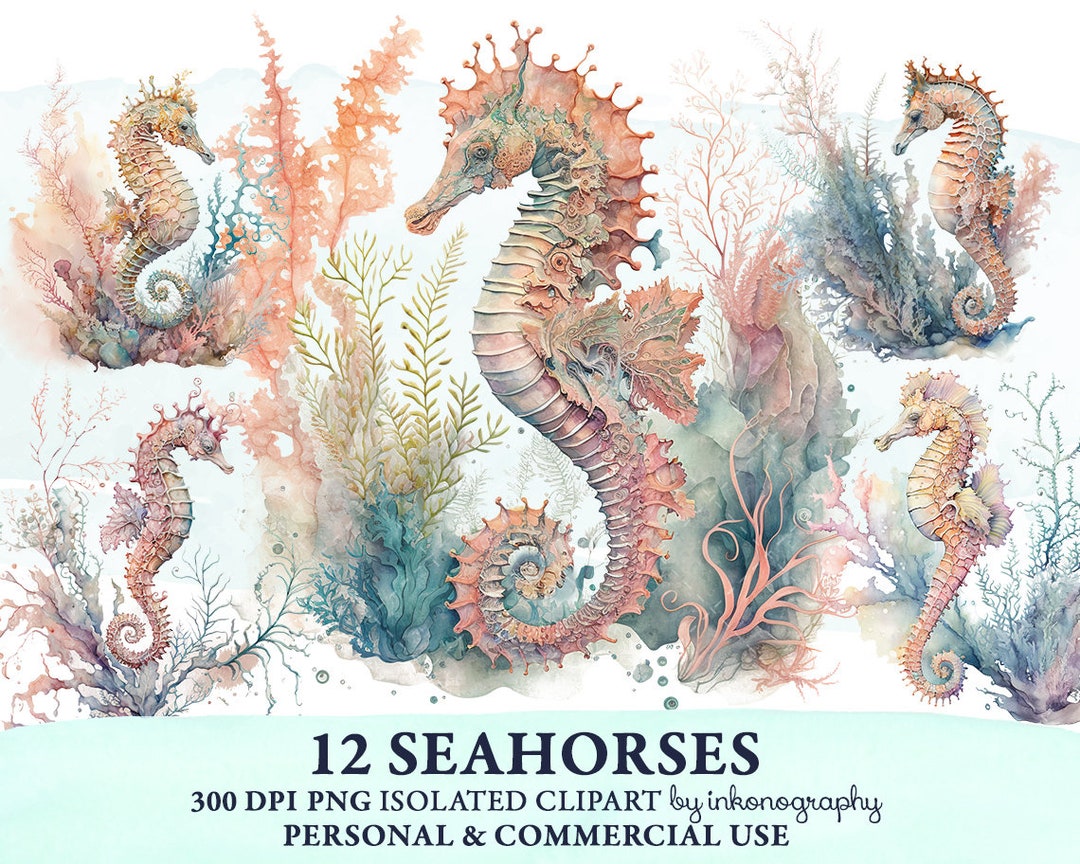 Watercolor Seahorse Clipart Bundle, Ocean Watercolor, Seahorses Png ...
