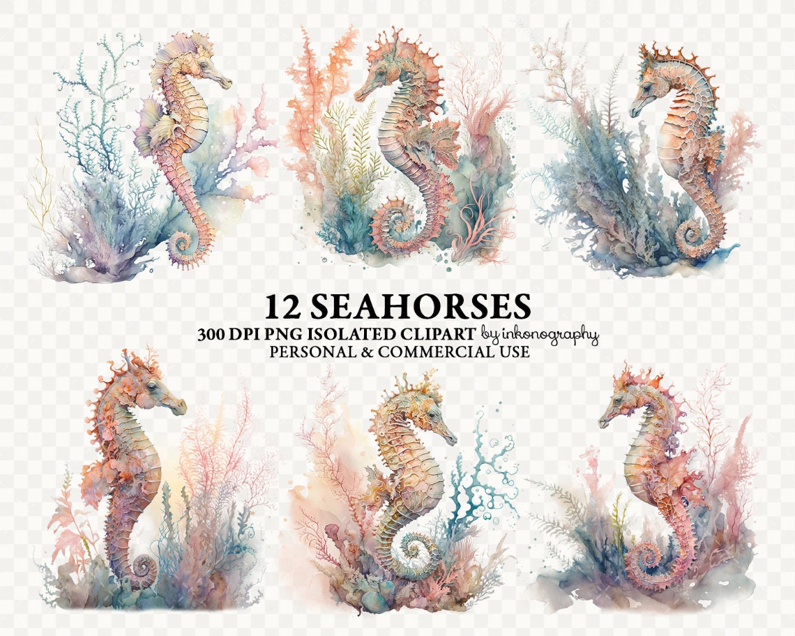 Watercolor Seahorse Clipart Bundle, Ocean Watercolor, Seahorses Png ...