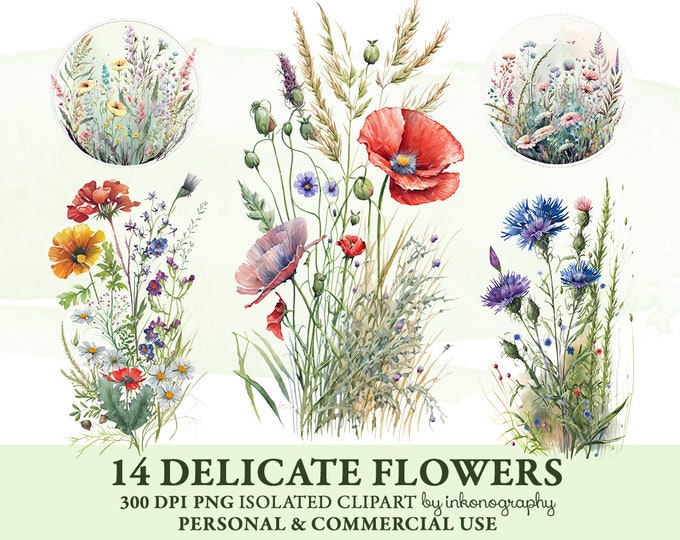 Dzikie Kwiaty Clipart / Maki i Chabry / Akwarela Kwiatowa / Pliki PNG ...