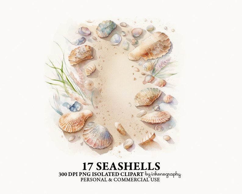 Watercolor Seashell Clipart Bundle, Seashell Png, Sealife Digital ...