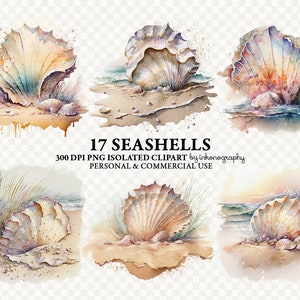 Watercolor Seashell Clipart Bundle, Seashell Png, Sealife Digital ...