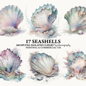 Watercolor Seashell Clipart Bundle, Seashell Png, Sealife Digital ...