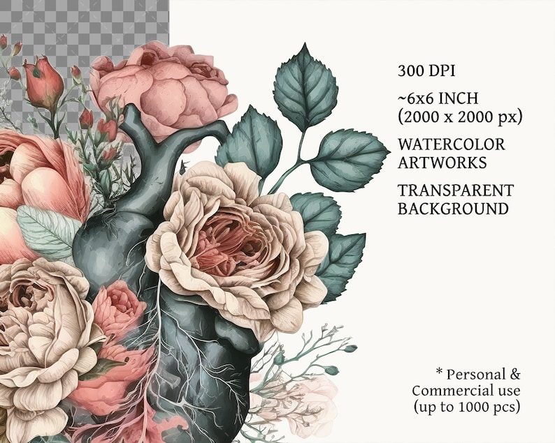Watercolor Floral Heart Clipart Bundle Anatomy Heart Png - Etsy