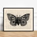 Moth Print Moth Art Print Moth Wings Moth Book Page Moth - Etsy