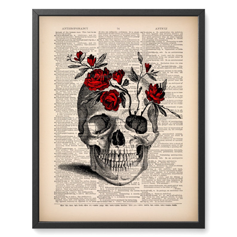 Skull Art Print Anatomy Art Skull Illustration Skull Collage - Etsy