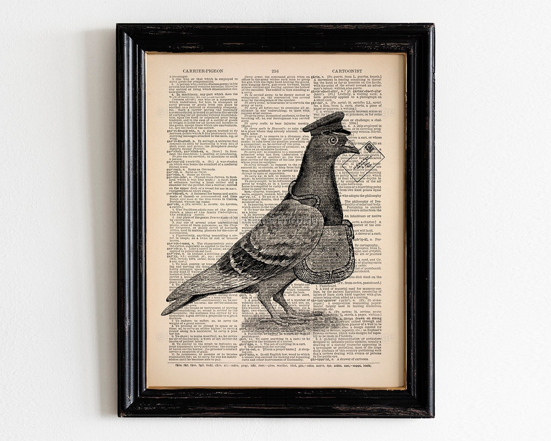 Funny Pigeon Print, Unique Gift, Postman Gift, Carrier Pigeon Art ...
