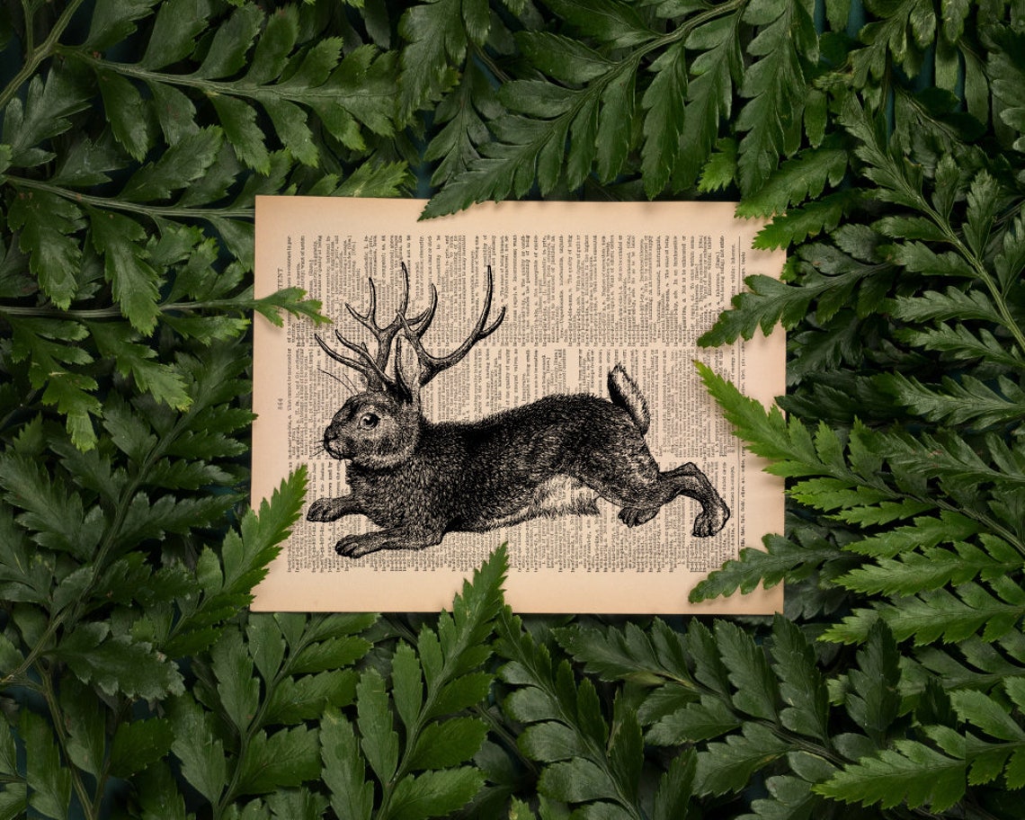 Stag Antlers Rabbit Poster Gift for His 1st Antler Decor - Etsy