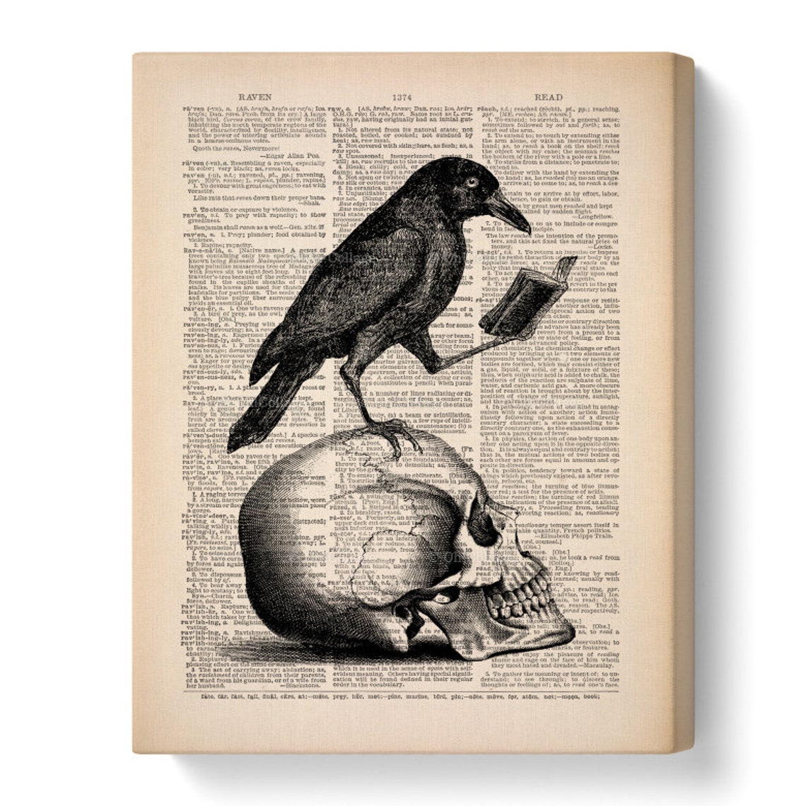 Skull with Raven Edgar Allan Poe Raven Nevermore Book Reading | Etsy