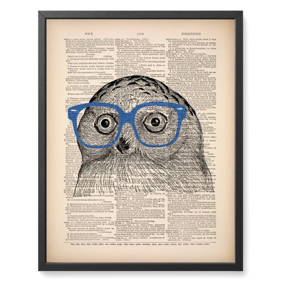 Hipster Owl Drawings