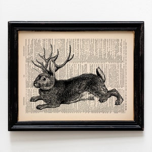 Jackalope, Cottagecore Decor, Mythical Creature, Cottage Core Gift ...