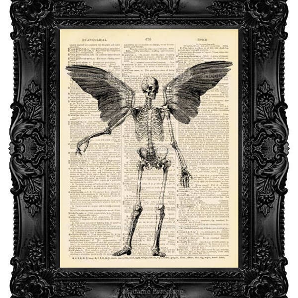 Winged Skeleton - Etsy